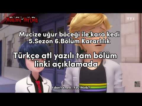 Mucize uğur böceği ile kara kedi 5.sezon 6.bölüm Kararlılık Türkçe alt yazılı tam bölüm 🇹🇷