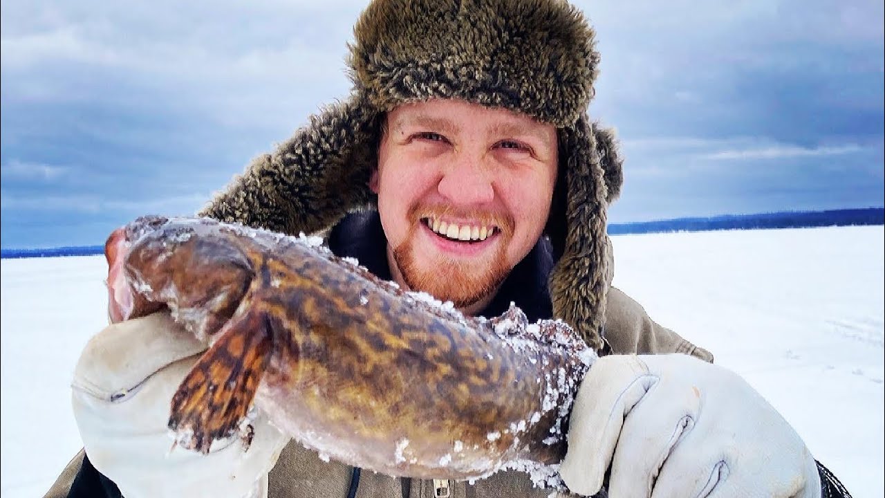 Catching Lots of BIG BURBOT in the Spawn - Ling, Eelpout, Mariah ...
