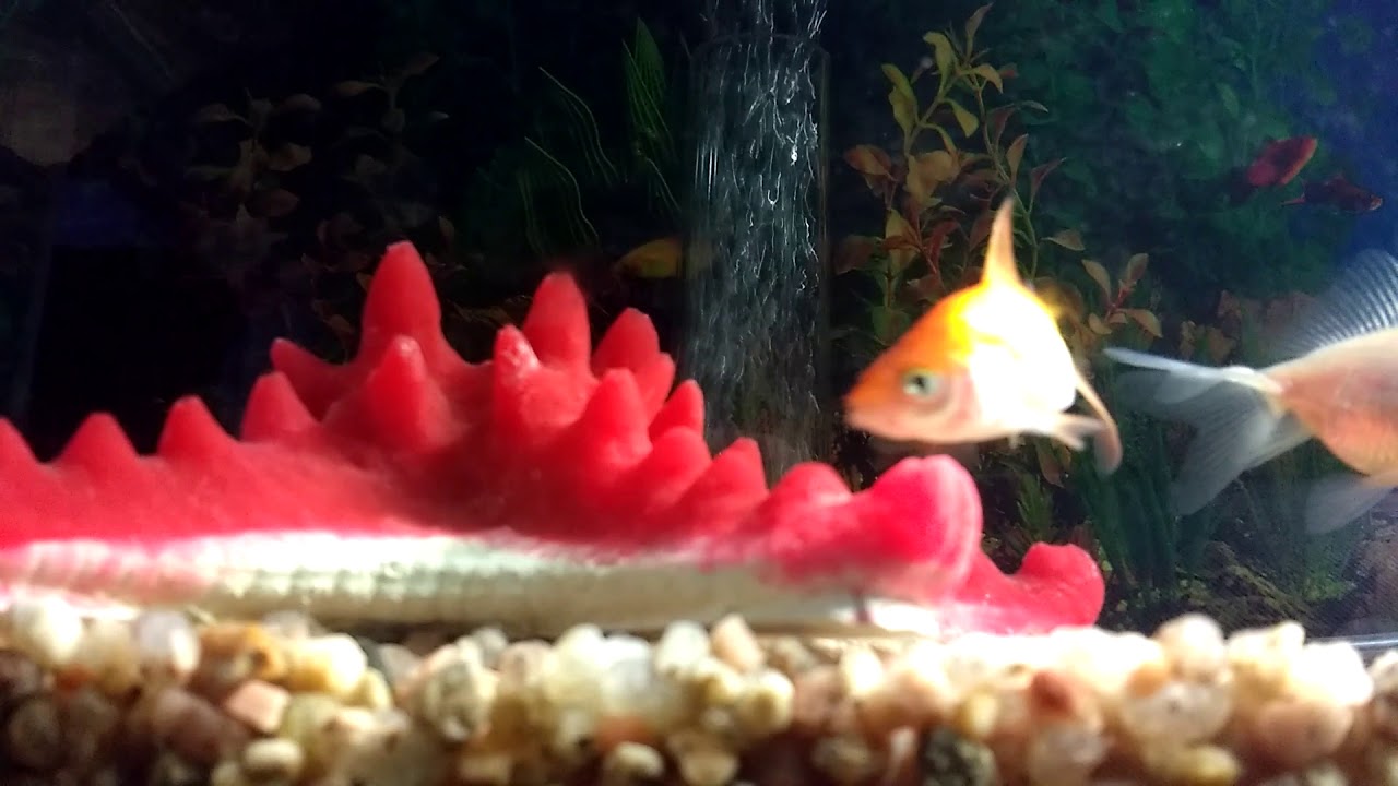 Mini peses - YouTube