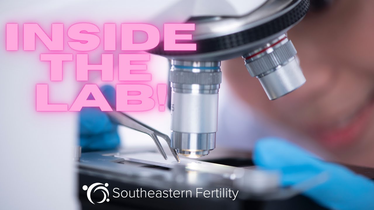 Inside the Embryology Lab - YouTube