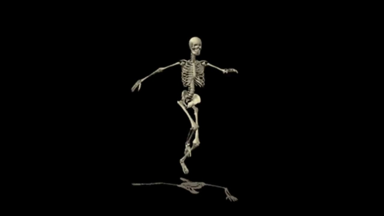 Vieja culia maraca (esqueleto loquendo) - YouTube