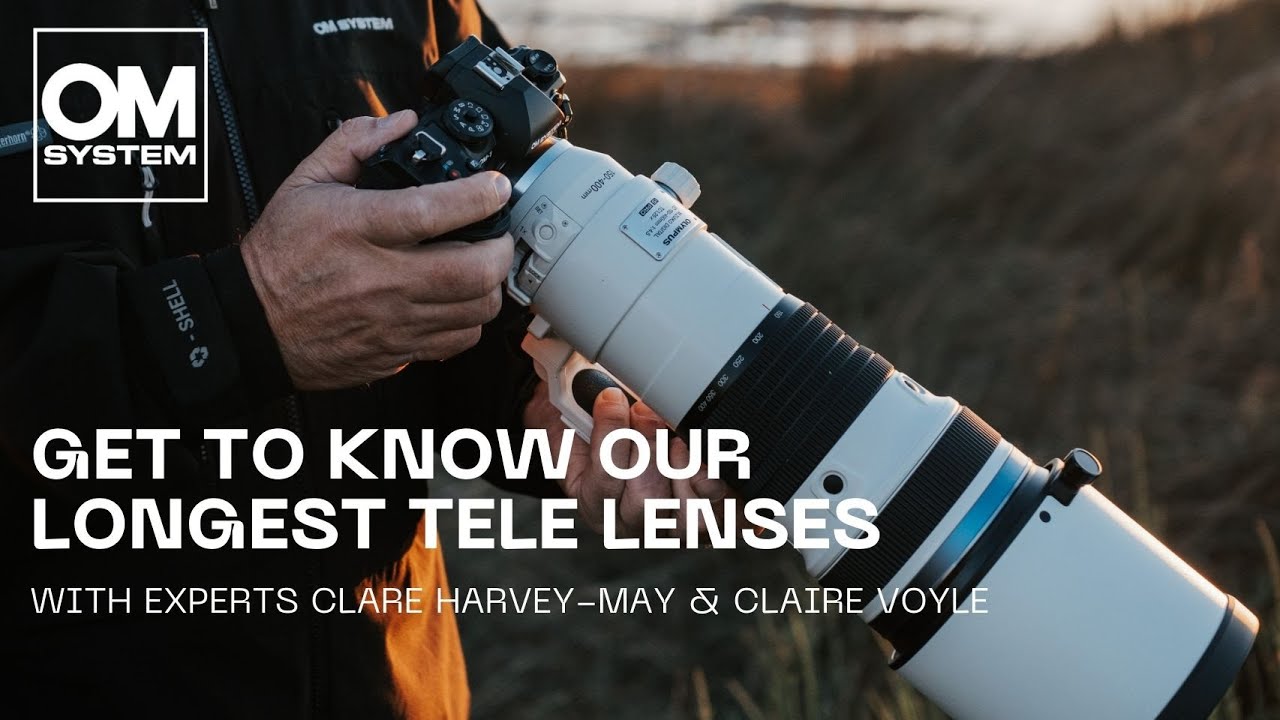OM SYSTEM telephoto lens comparison | What's the best telephoto lens ...