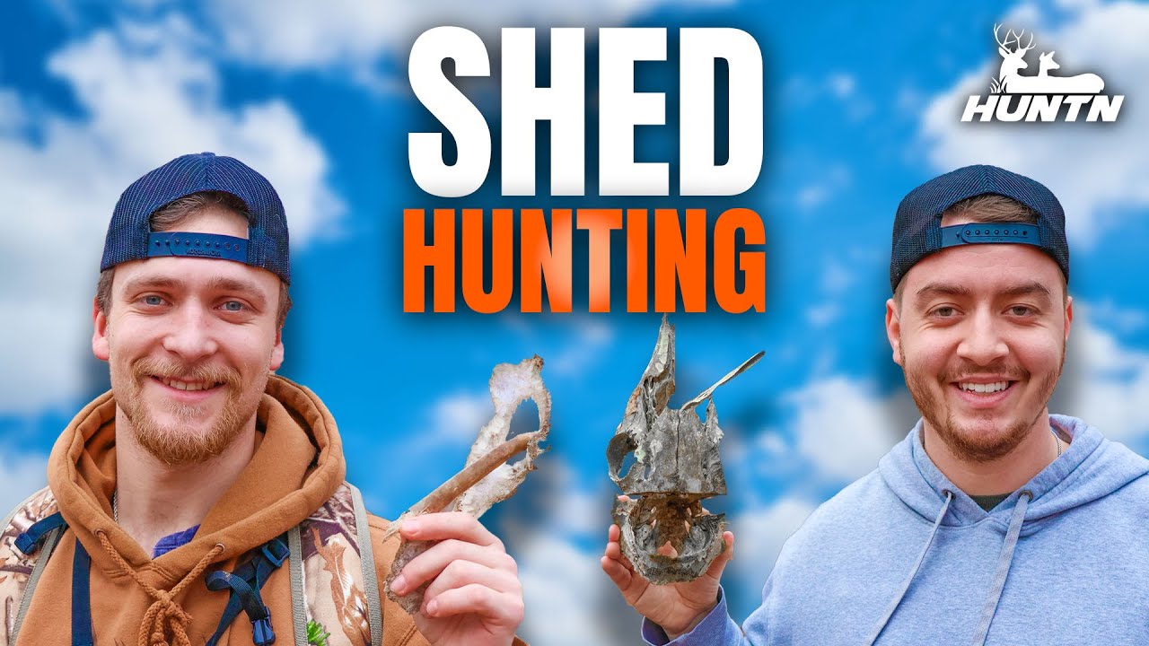 HUNTING FOR BUCK ANTLER SHEDS WITH HUNTN! - YouTube