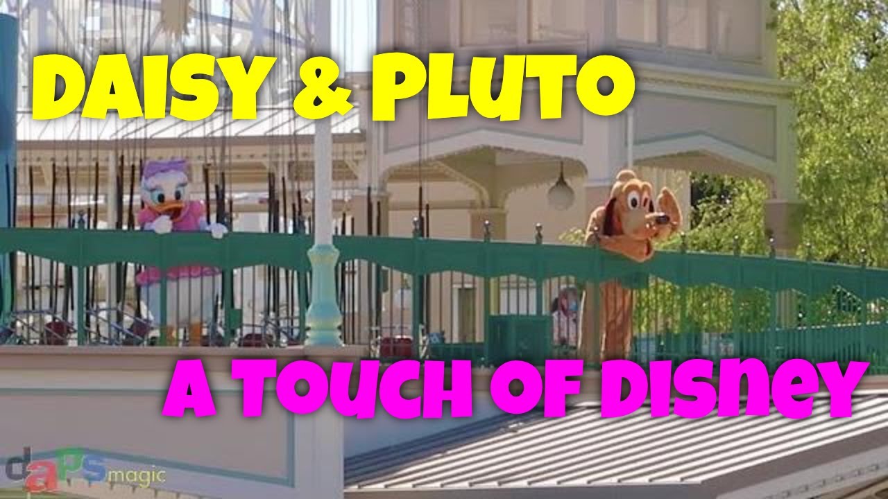 Pluto & Daisy - A Touch of Disney at Disney California Adventure ...