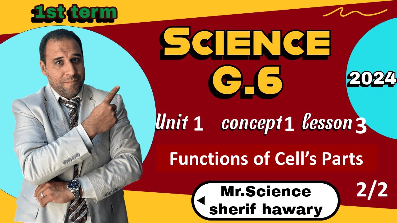 Functions of cells Parts | Grade 6 | Unit 1 - Concept 1 - Lesson 3 ...