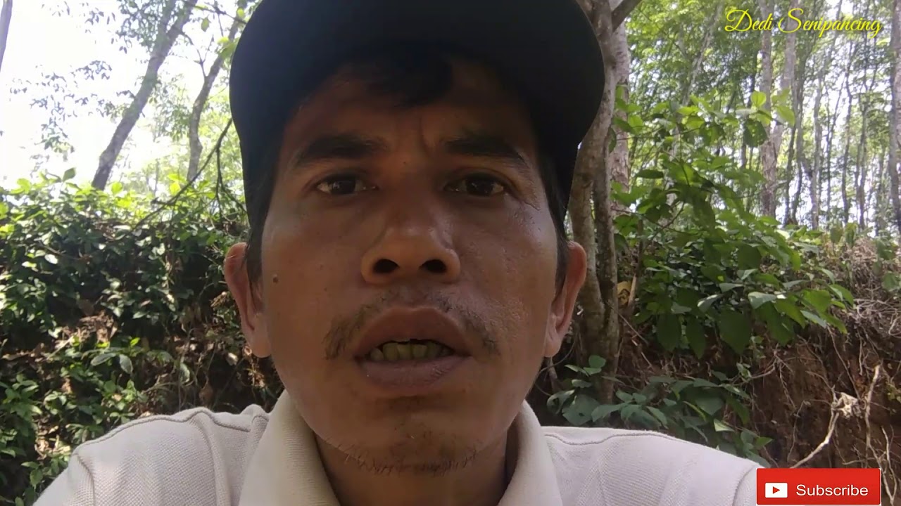 MANCING DI IRIGASI PLTA UBRUG HASIL NYA LUMAYAN - YouTube