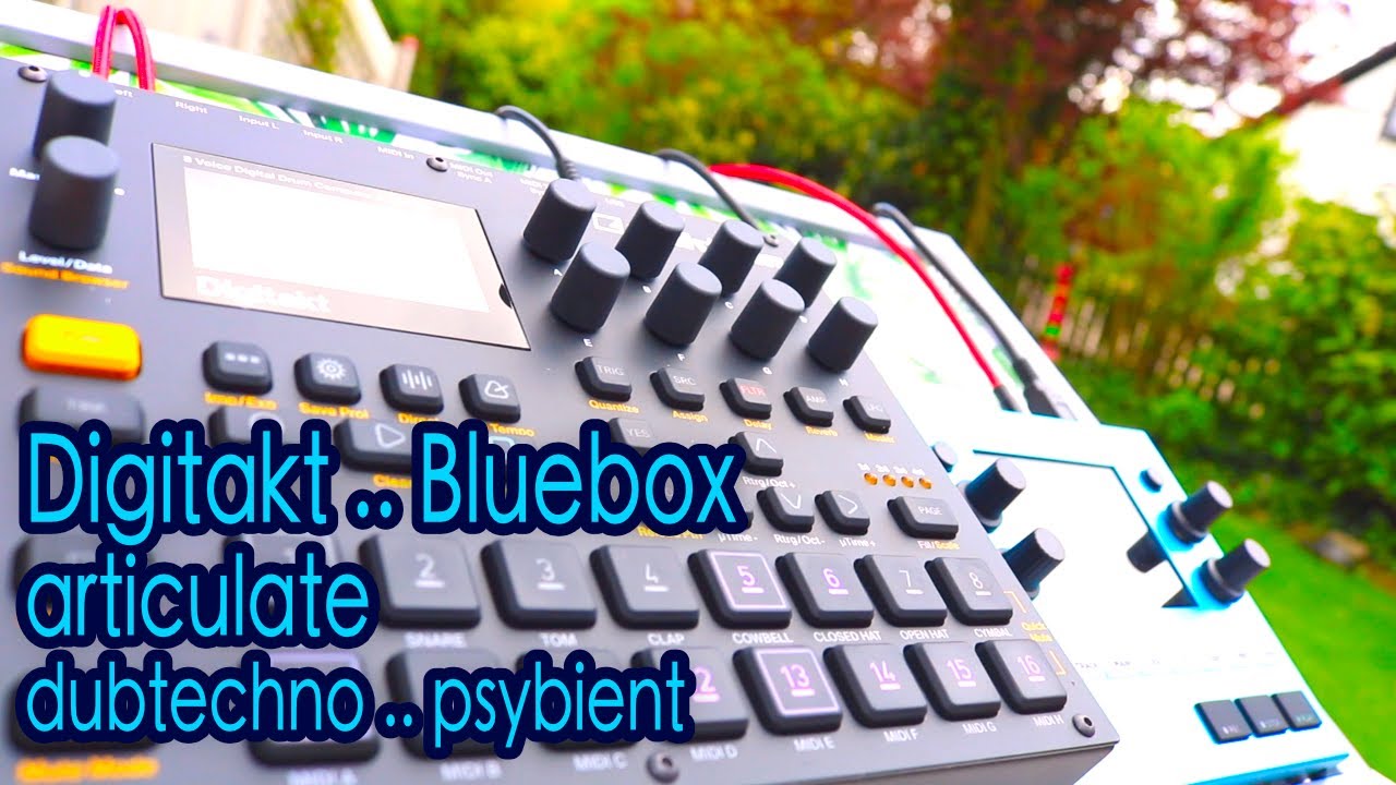 articulate .. elektron digitakt .. 1010music .. bluebox .. dubtechno ...