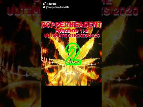 DJ HANNAH BEAR PREZ WEED