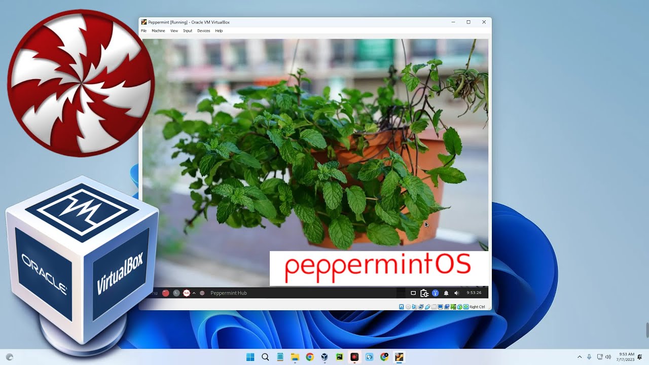 How to Install Peppermint OS on VirtualBox in Windows PC - YouTube