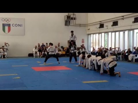 TAEKWONDO FITA : Demo Team WT al corso Maestri 2019
