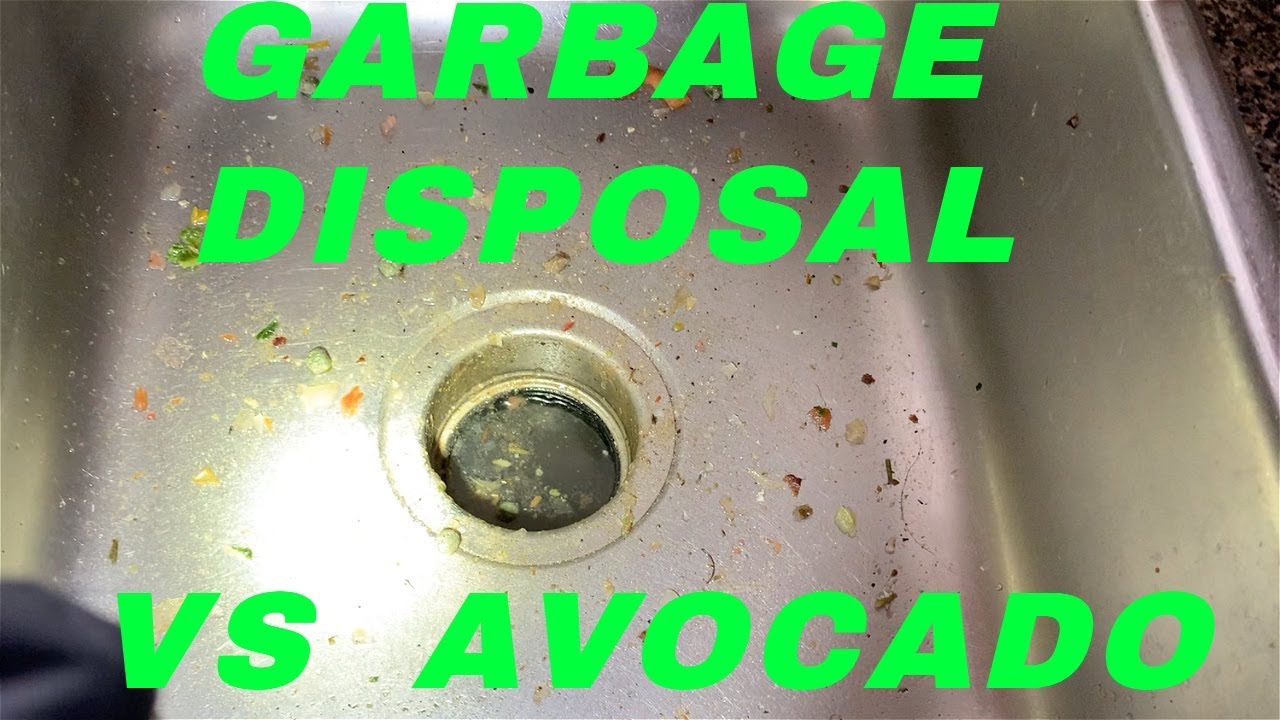 GARBAGE DISPOSAL TOTALLED BY AVOCADO - YouTube