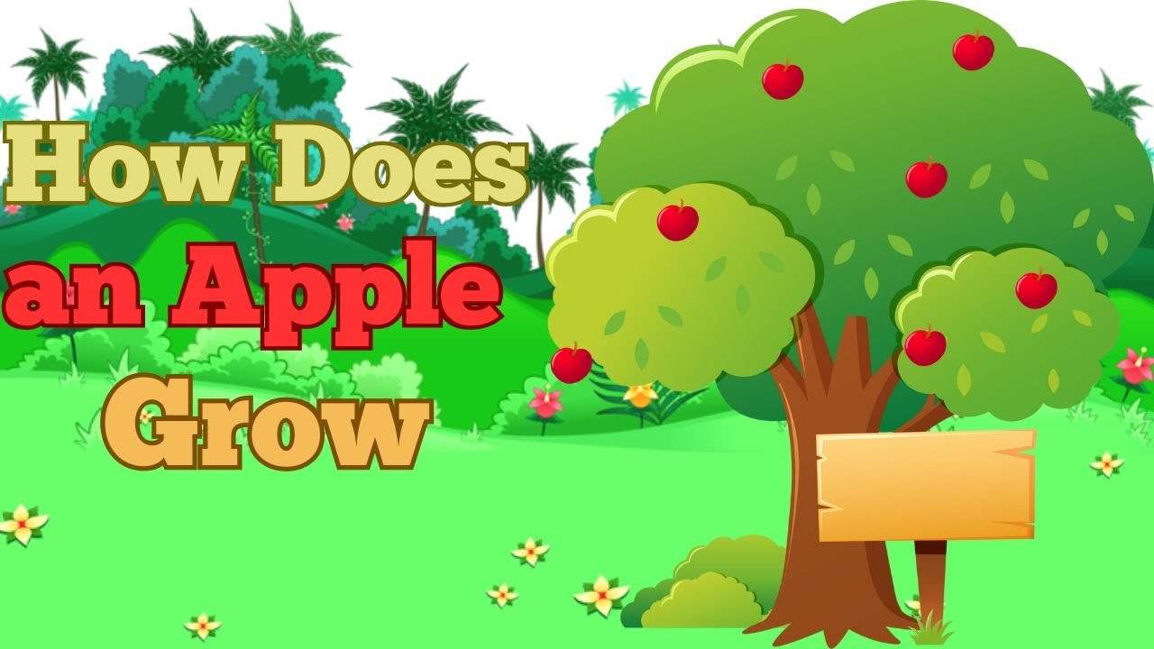 How Does Your Apple Grow? Watch & Learn! - YouTube