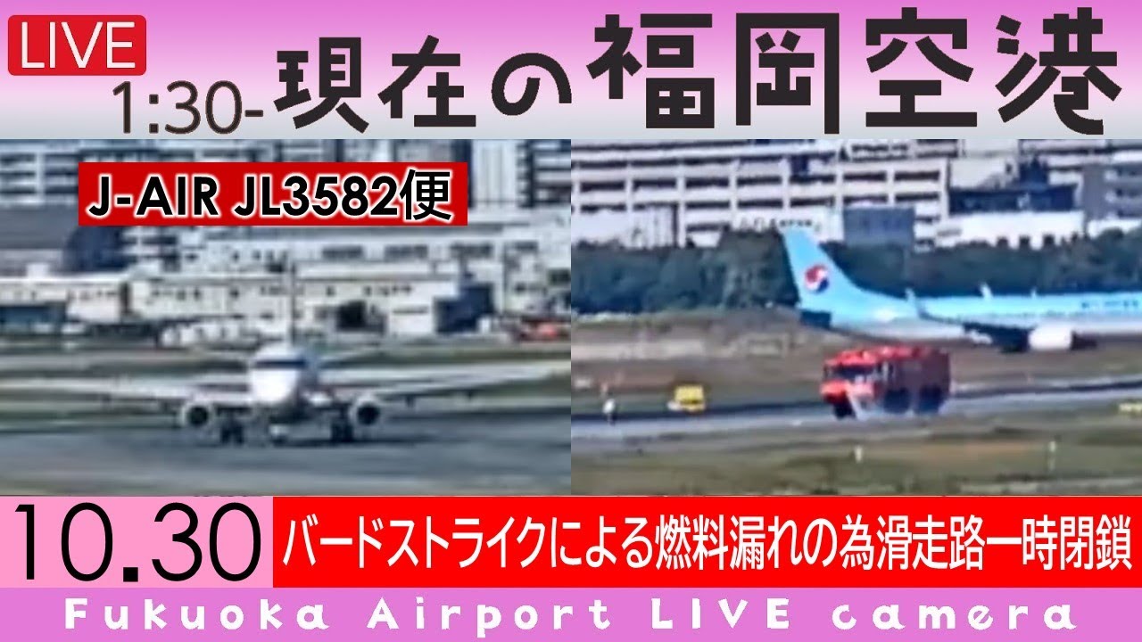 【LIVE】 ️福岡空港ライブカメラ 2023-10-30 01:30- Fukuoka Airport Live Camera - YouTube
