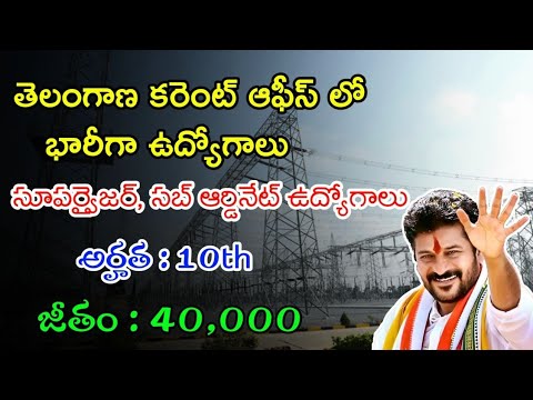 TS విద్యుత్ శాఖలో పర్సనల్ అసిస్టెంట్, ఆఫీస్ సబార్డినేట్ ఉద్యోగాల భర్తీ ...