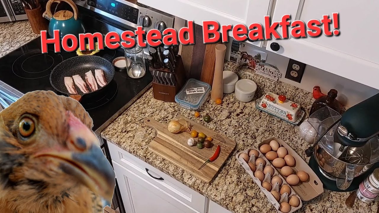 A Homestead Breakfast | Fresh Eggs & Veggies From The Stead - YouTube