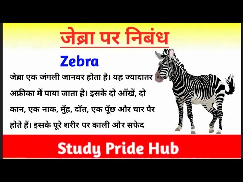 Essay on Zebra | Essay on Zebra in Hindi | Zebra Par Nibhand | Zebra ...