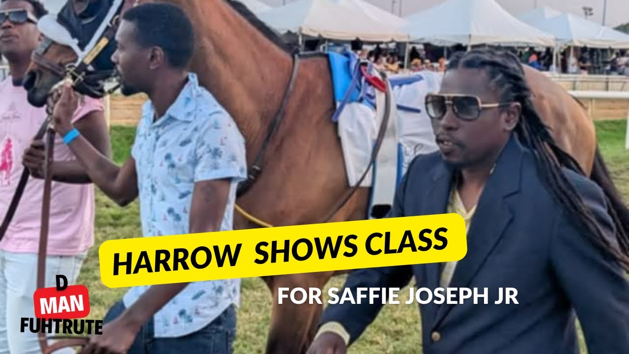 The big horse Harrow wins on another Super day in Barbados on Gold Cup ...