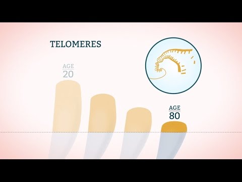 Ob/Gyn Updated : Now, know your cellular age and manage it too ...