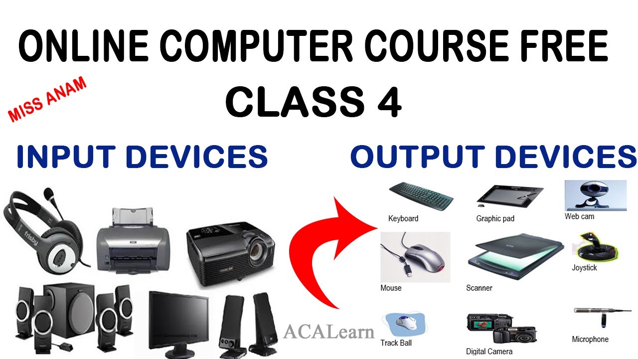 What Is Basic Elements Of Computer? - Online Computer Course FREE At ...