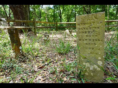 Alto Cemetery and Logging Tram at Half Moon Wildlife Management Area ...