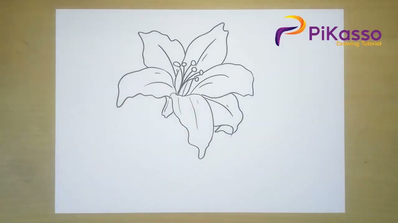 Orchid Flower Easy Drawing Tutorial - YouTube