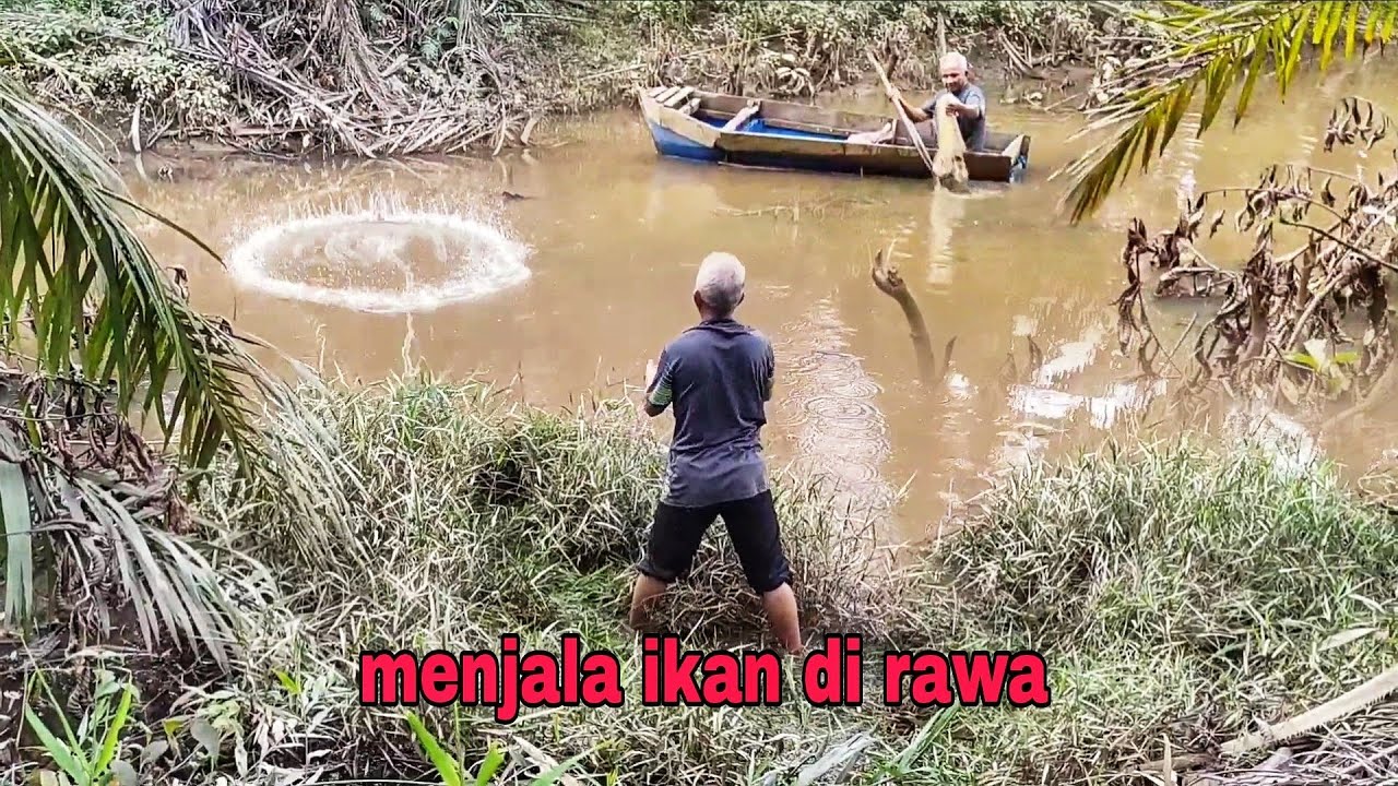 MENJALA IKAN DI RAWA HASIL LANGSUNG DI MASAK - YouTube