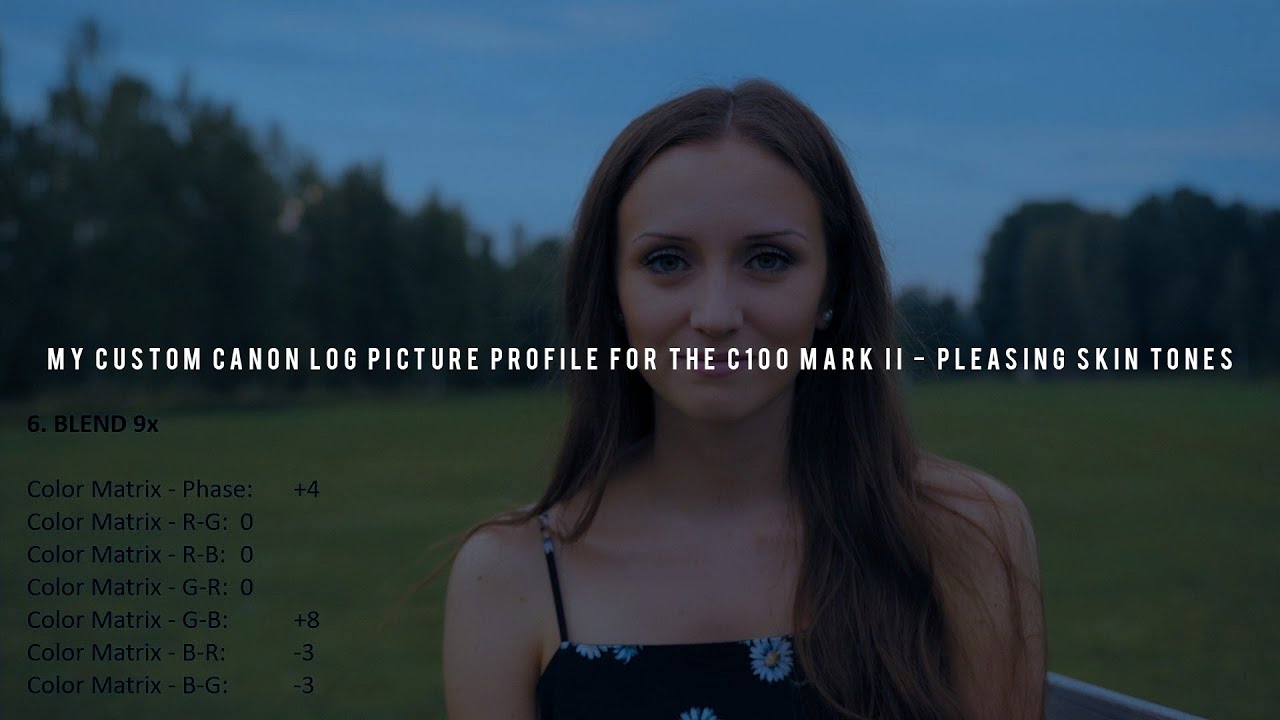 My custom Canon LOG picture profile for the C100 mark II - pleasing ...