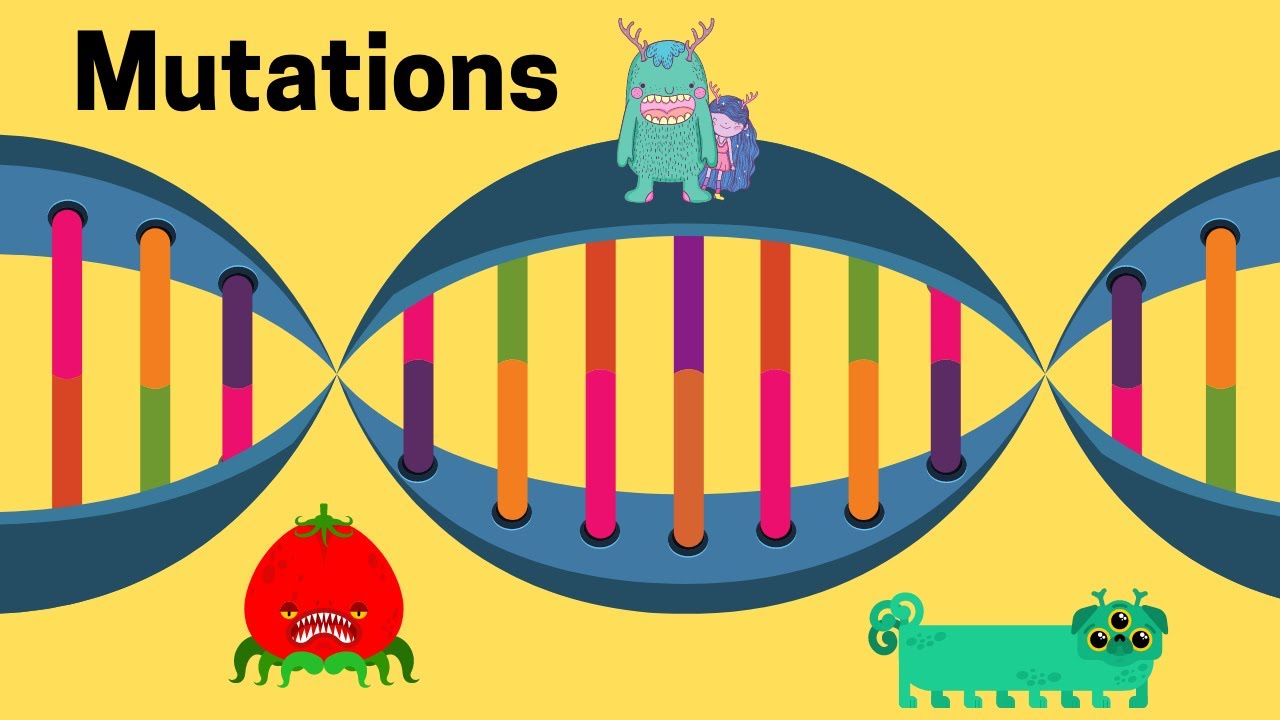Mutations in Biology - YouTube