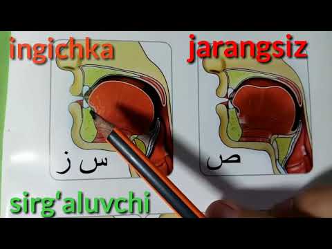 ARAB ALIFBOSI. TALAFFUZ DARSI. SIN - \