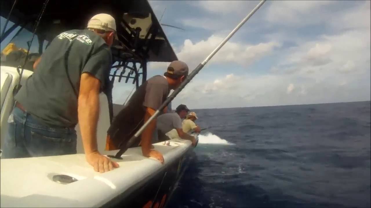 MAKO SHARK ATTACK with VooDoo Fishing Charters out of Venice, LA - YouTube