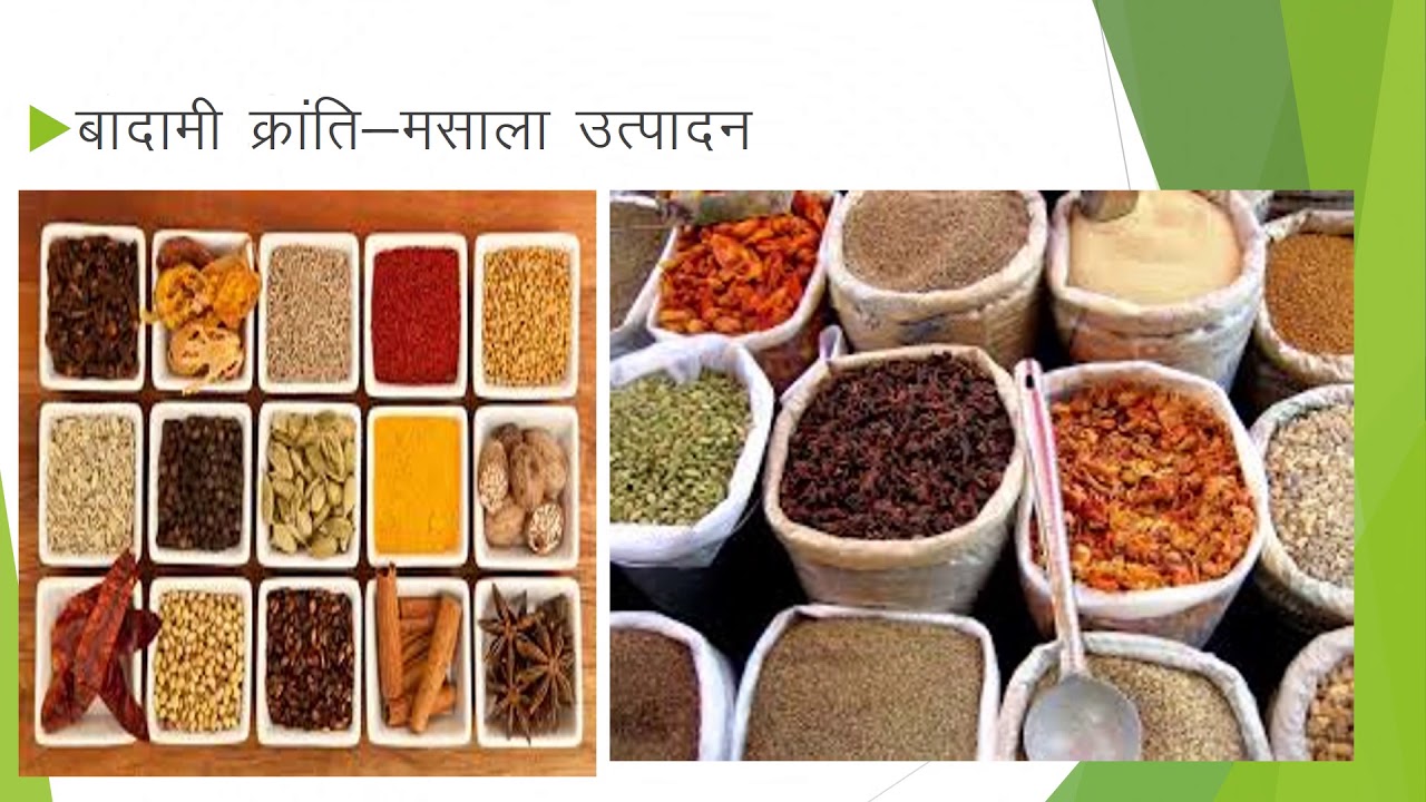 SWEAT KRANTI, YELLOW KRANTI, AMRIT KRANTI RELATED ALL TYPES OF POINTS ...