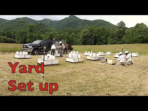 Setting Up A Bee-yard - YouTube