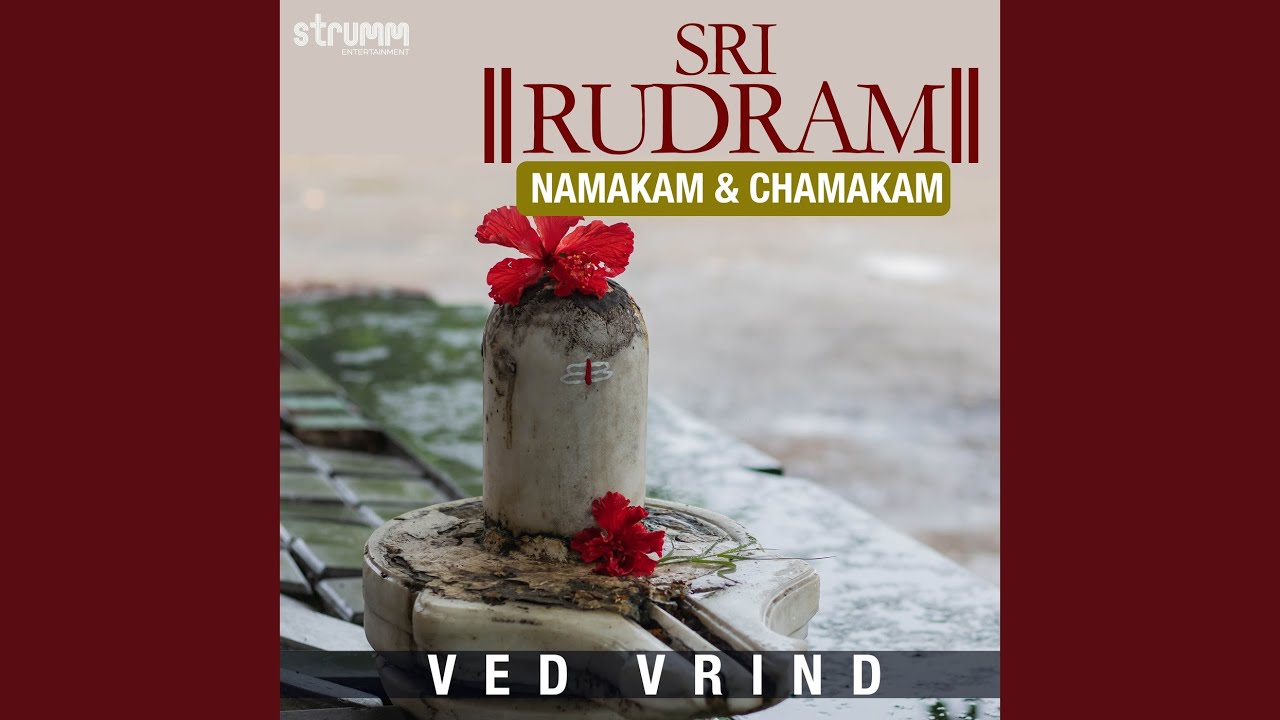 Sri Rudram (Namakam & Chamakam) - YouTube
