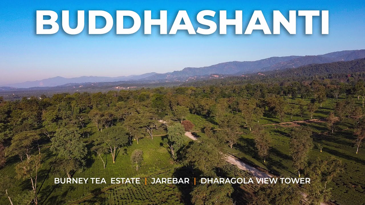 Buddhashanti, Jhapa | Burney Tea, Jarebar, Dharagola View Tower | Sulav ...