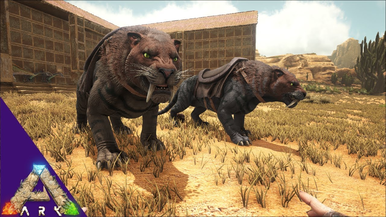 SABERTOOTH TAMING AND BREEDING! Solo Ark:Scorched Earth Episode 9 - YouTube