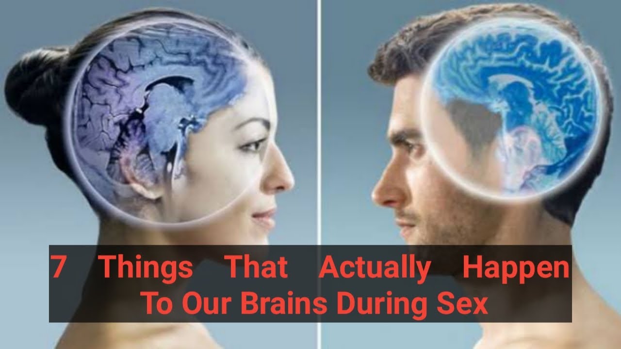 7 Things That Actually Happen To Our Brains During Sex - YouTube