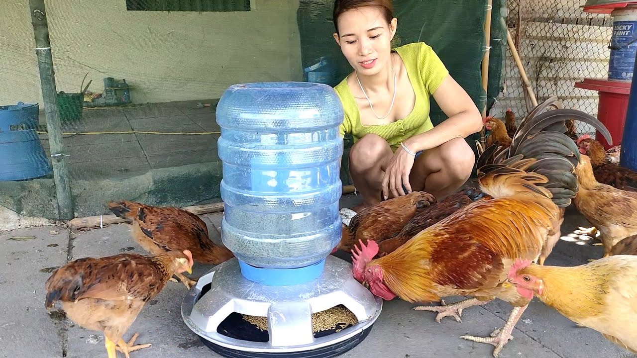 How to make a simple chicken feeder - YouTube