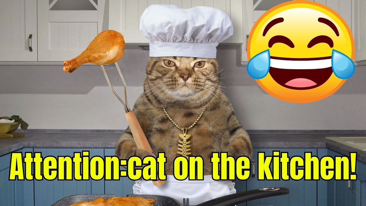 Hilarious Kitchen Catastrophes: Cats Causing Chaos - YouTube
