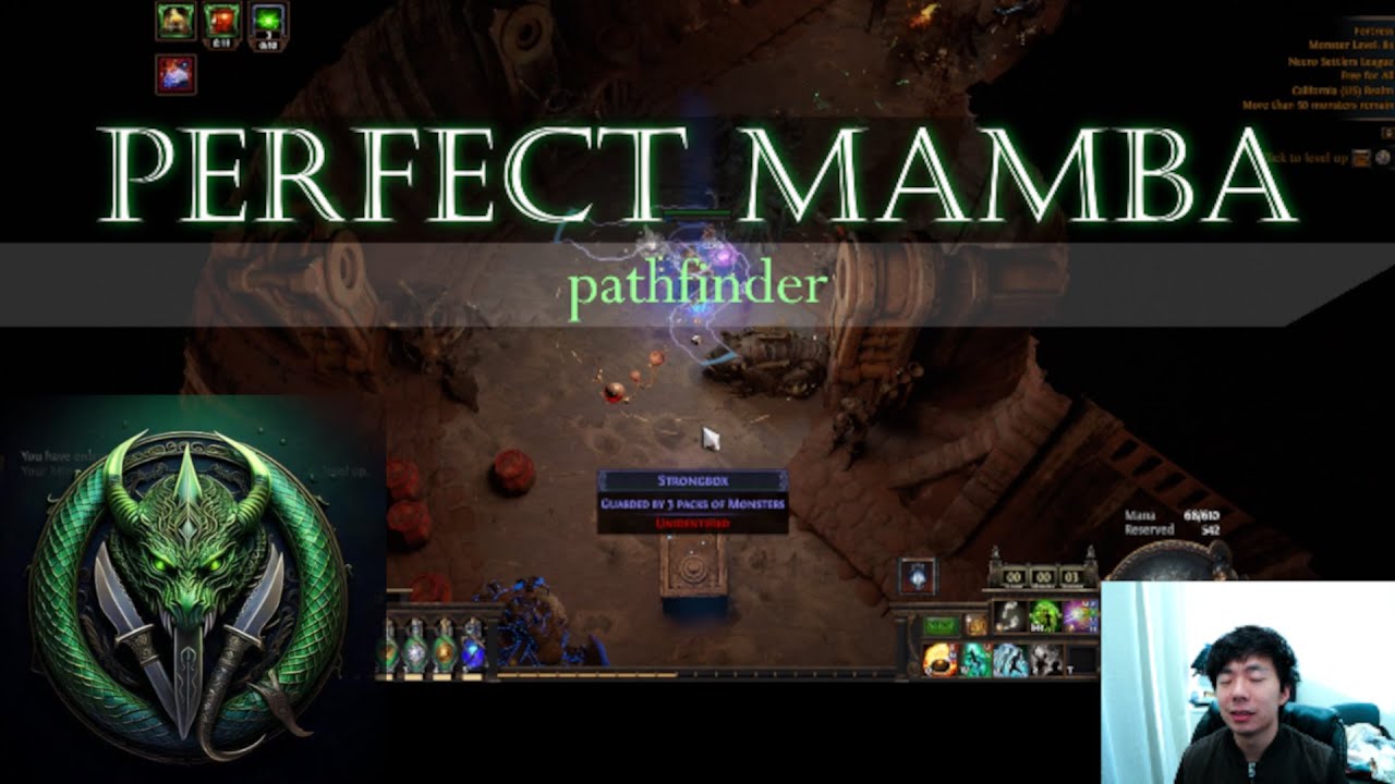 Perfect Mamba Pathfinder Build Guide [Path of Exile 3.25.1 / Settlers ...