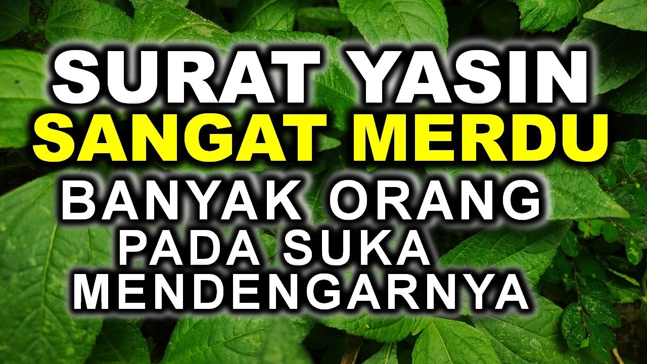MUROTTAL ALQURAN MERDU YANG SERING DIPUTAR DI MASJID NGAJI SURAT YASIN ...