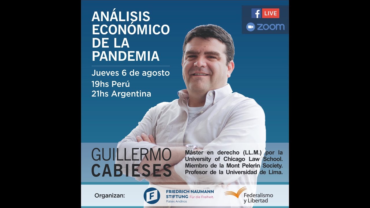 Guillermo Cabieses: Análisis económico de la pandemia - YouTube