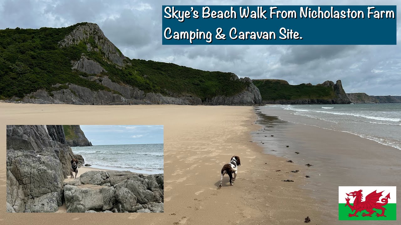 Nicholaston Farm Caravan & Camping 🏴 Stunning Beach Walk With Skye ...