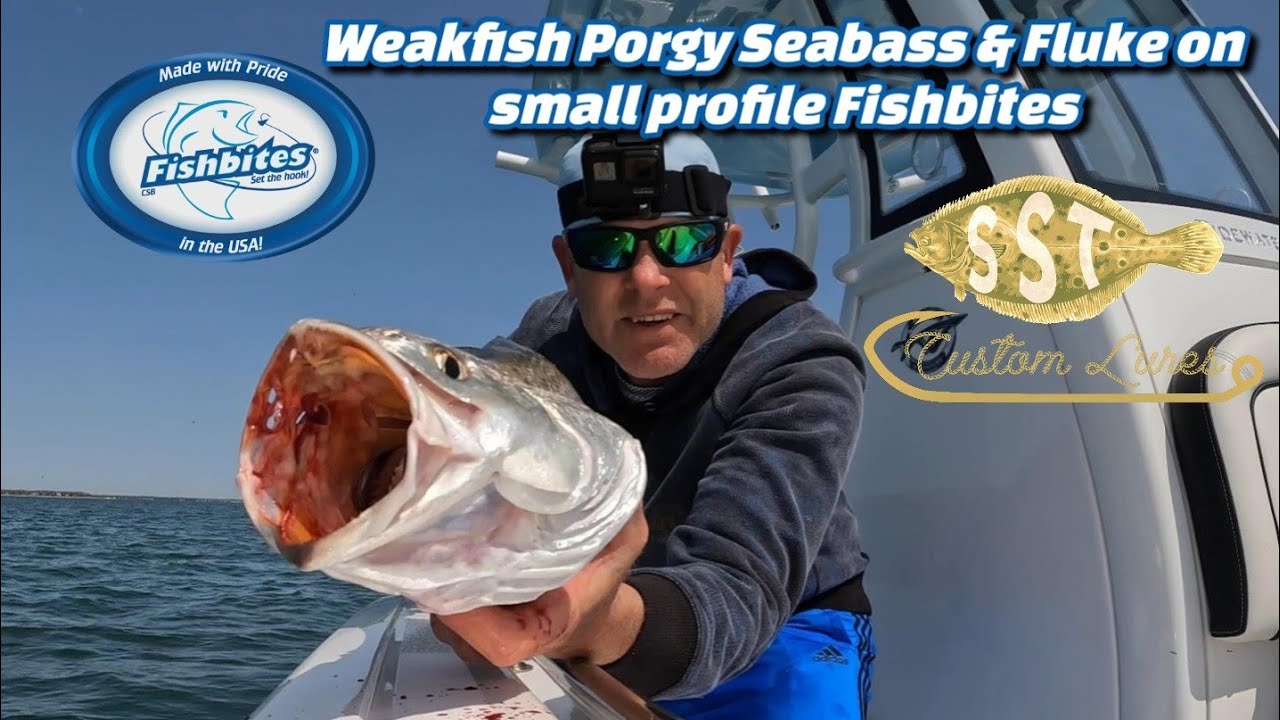 Weakfish Porgy Seabass & Fluke (flounder) on small profile Fishbites ...