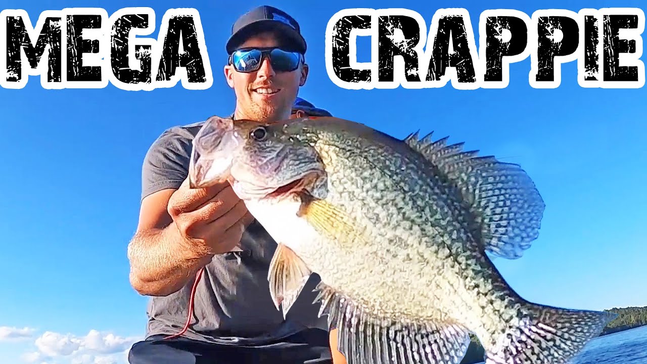 Catching MONSTER CRAPPIE In The FALL!! (EASY) - YouTube