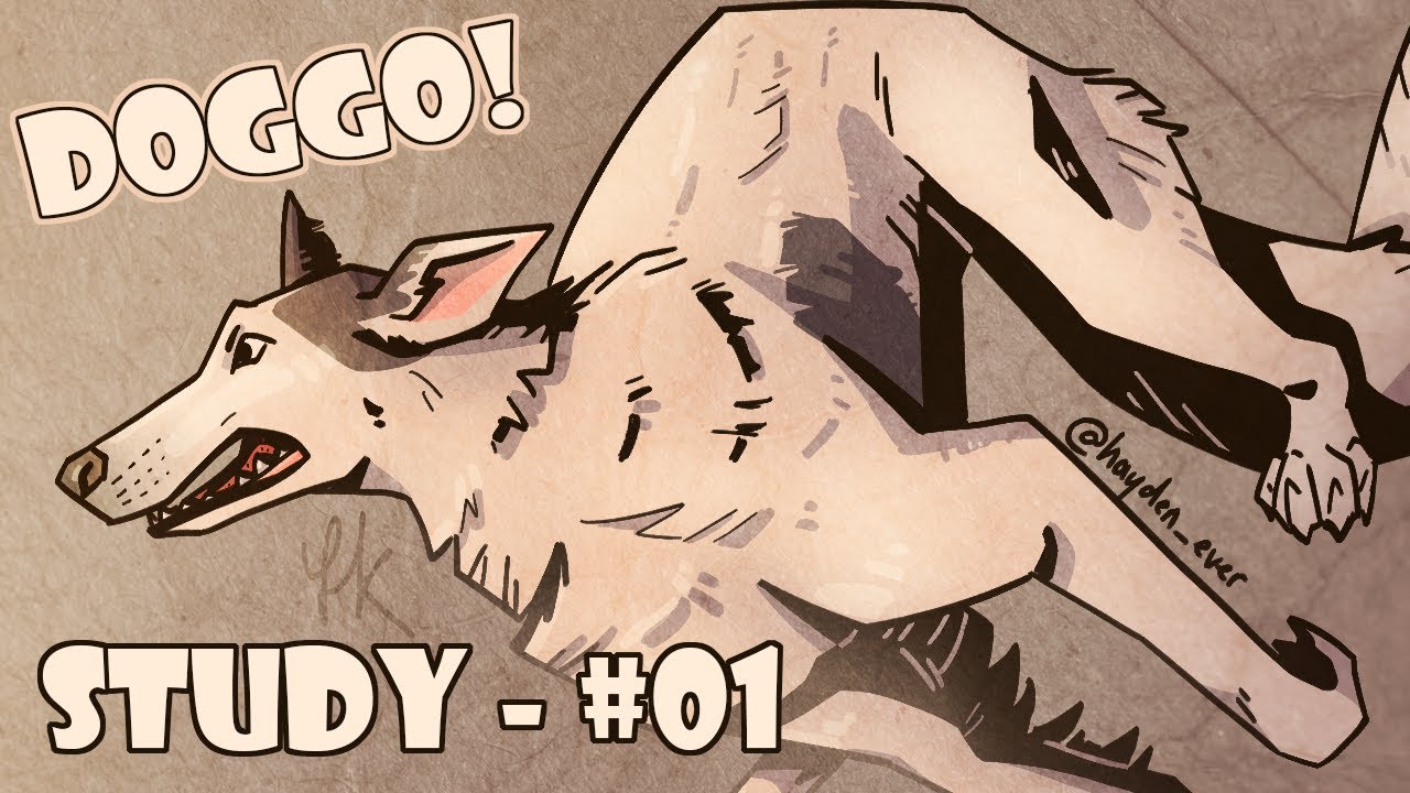 Dessine-moi un doggo! - Study #01 - 08/06/2023 - YouTube