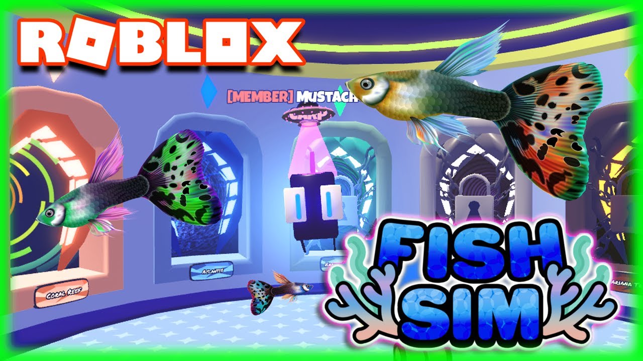 JE SUIS UN GUPPY | Roblox Fish Simulator - YouTube