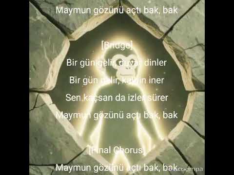 MEHMET İNANKIL-- Maymun Gözünü Açtı Bak..!