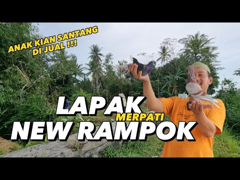 LAPAK BARU NEW RAMPOK - YouTube