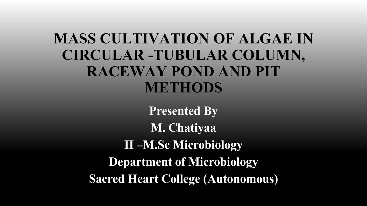 MASS CULTIVATION OF ALGAE BY CIRCULAR -TUBULAR COLUMN, RACEWAY POND AND ...