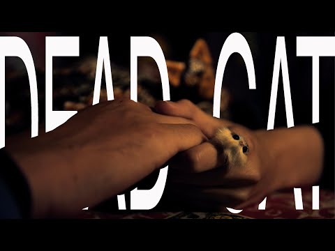 Dead Cat - 3 Minute Short Film MRR2020